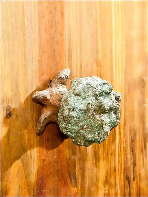 Pomos de bronce para puerta exterior. Originalidad y distinción.